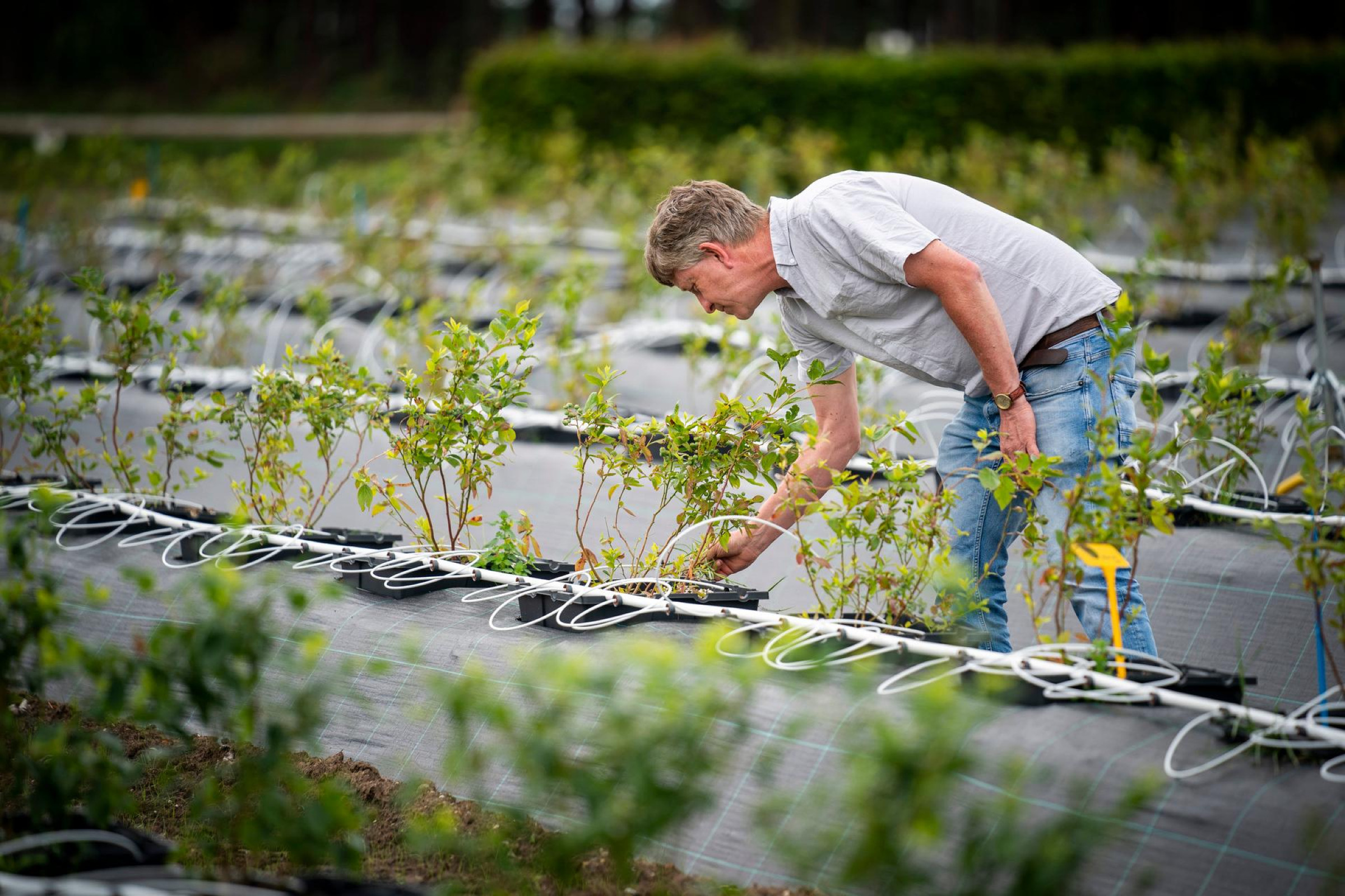 Rijksdienst voor Ondernemend Nederland | RVO.nl